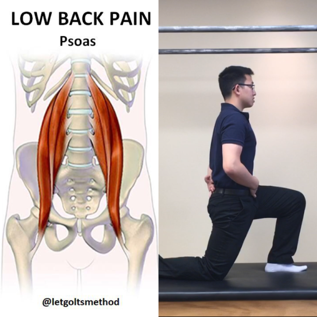 Best Sitting Position For Psoas At Hugo Carter Blog